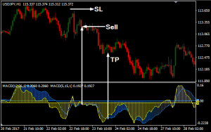 Double MACD Momentum Forex Strategy Free Download - FXCracked