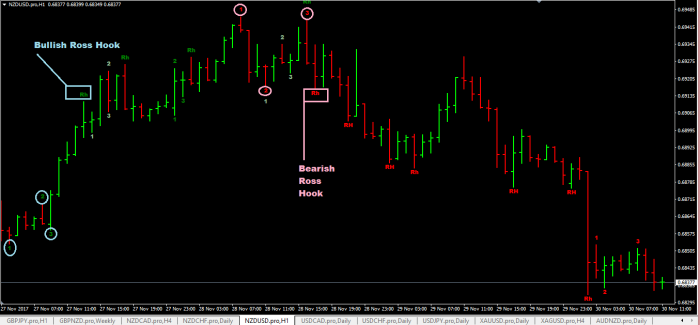 Ross Hook Pattern Forex Indicator MT4 Free Download - FXCracked