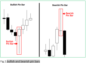 Fix Pivot Point Forex Indicator – Trading using pin bars in combination ...